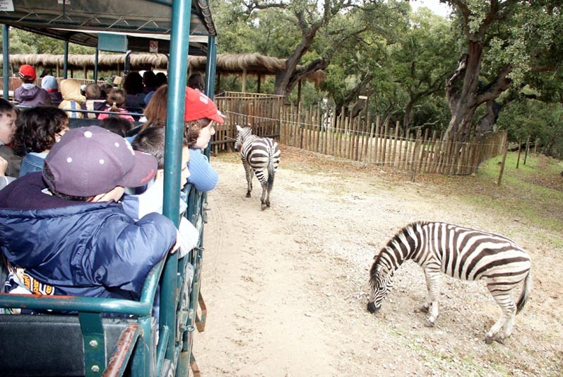 Badoca Park (Parc d'attraction)